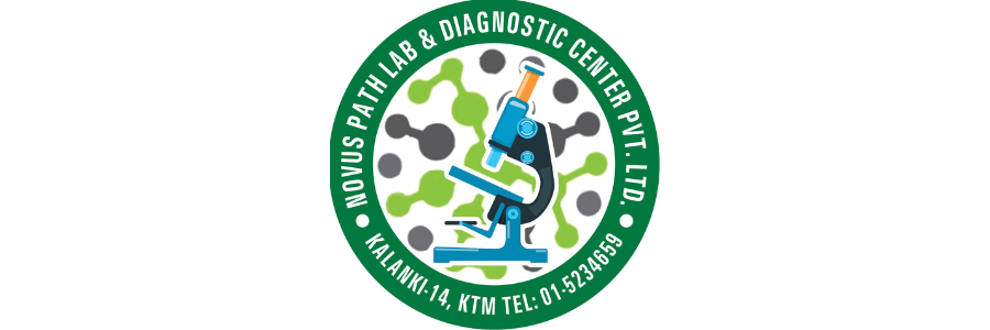 Progesterone : NepMeds