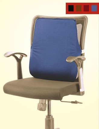 Foam Back Rest -Large - Buy Foam Back Rest -Large at Best Price in NepMeds