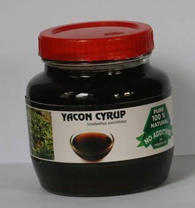 YACON CYRUP - 350gm - Buy YACON CYRUP - 350gm at Best Price in NepMeds